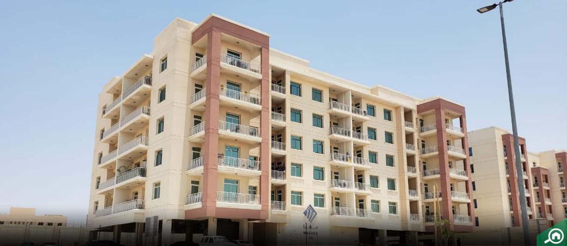 Mazaya 31 Building Guide - PropertyDigger.com